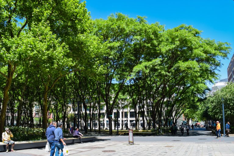 Welcome to Downtown Brooklyn